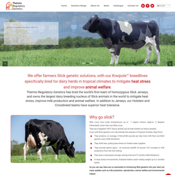 TR Genetics - Ad Concepts